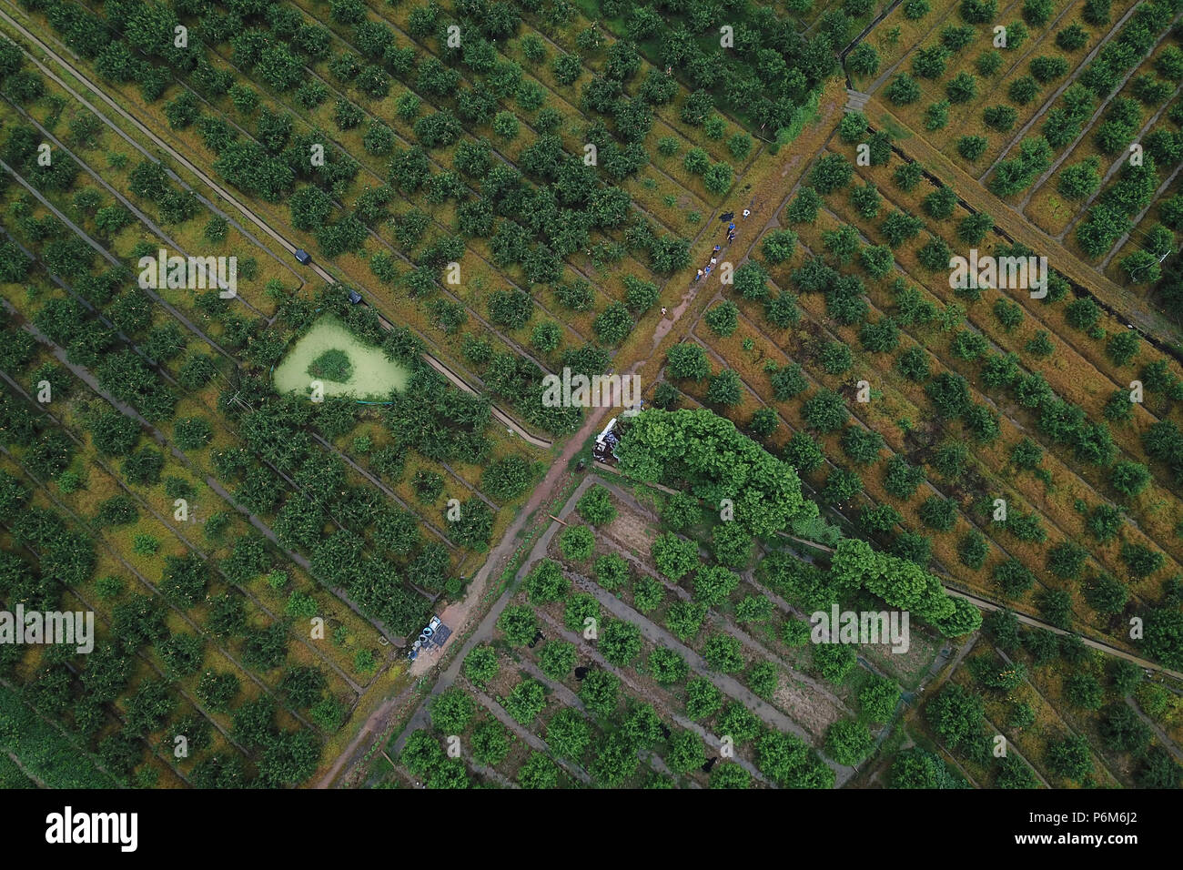 Painting activities hi-res stock photography and images - Alamy