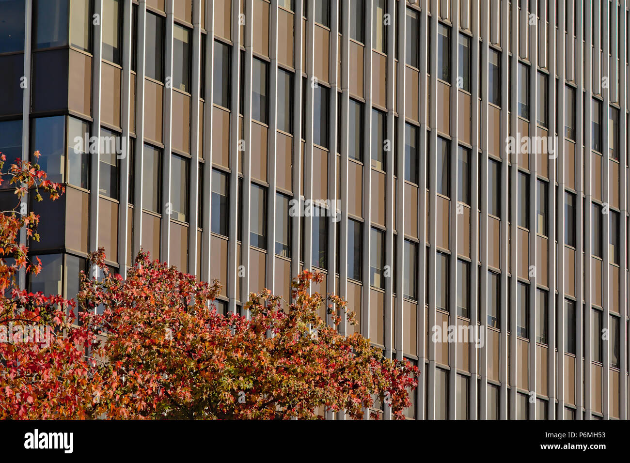 Architecture detail, windows of an office building in a repetitive ...