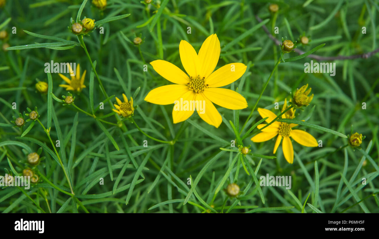 Shapely hi-res stock photography and images - Alamy