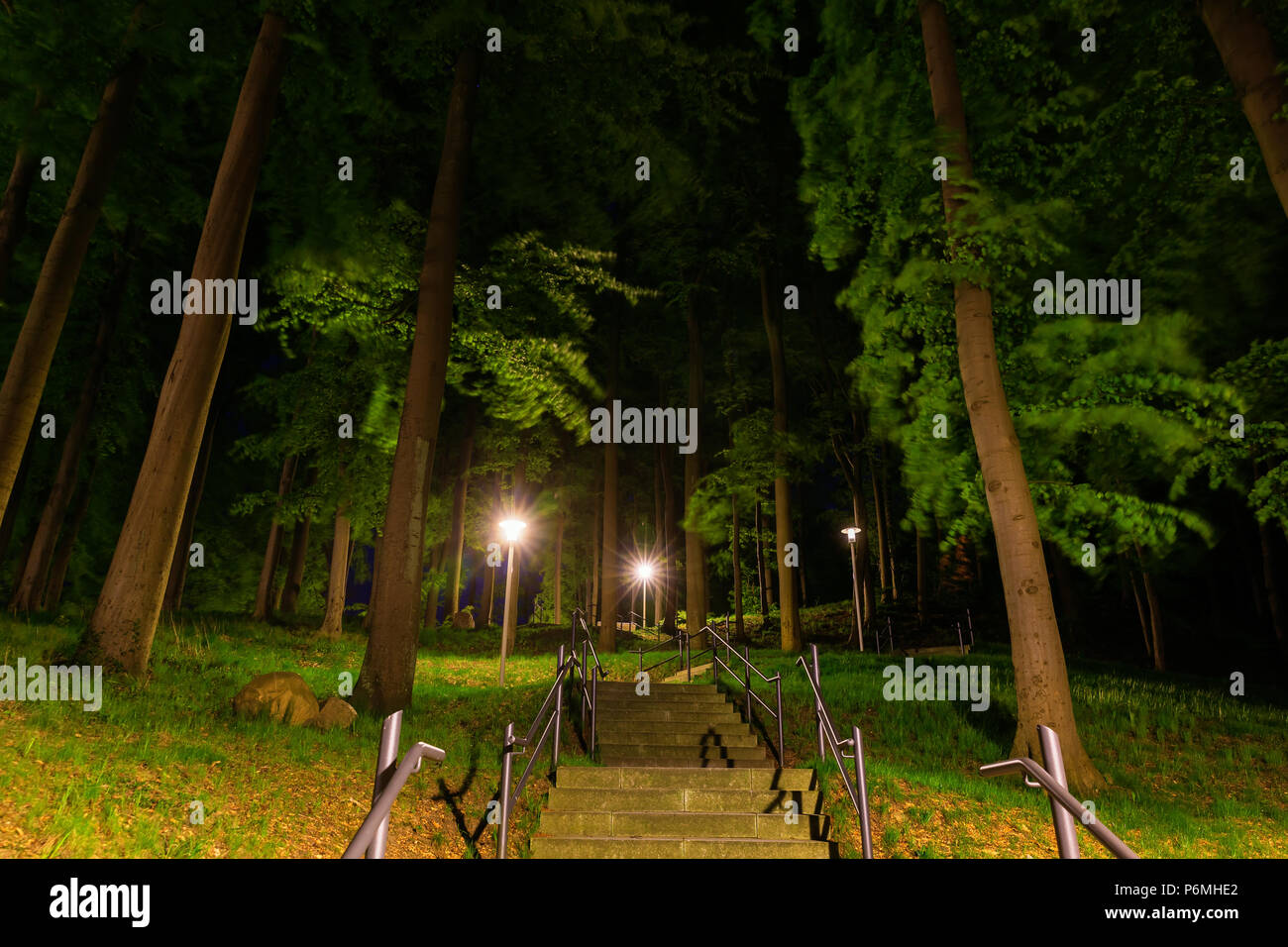picture of a path with street lamps in the forest at night Stock Photo ...