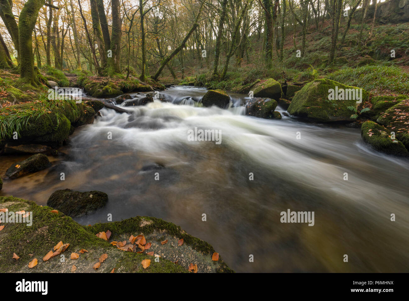 Golitha Falls; River Fowey; Cornwall; UK Stock Photo - Alamy