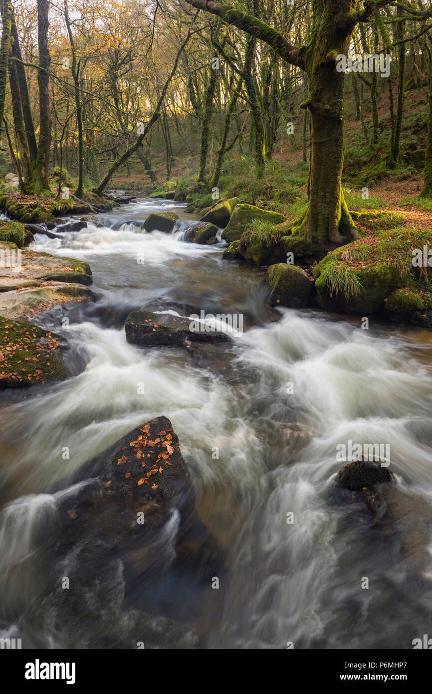 River fowey water hi-res stock photography and images - Alamy