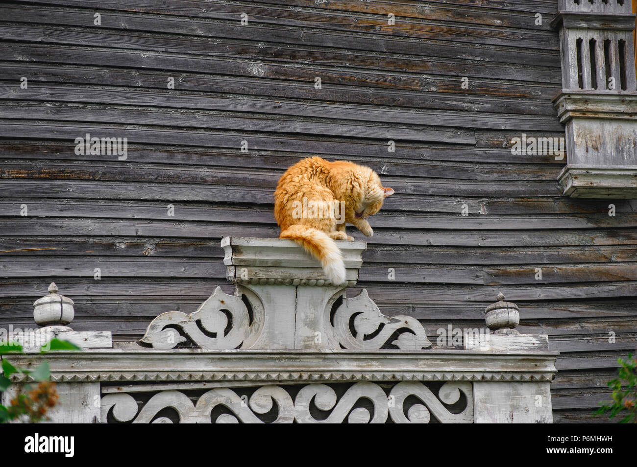 Furry red cat on the background of a wooden old house Stock Photo - Alamy