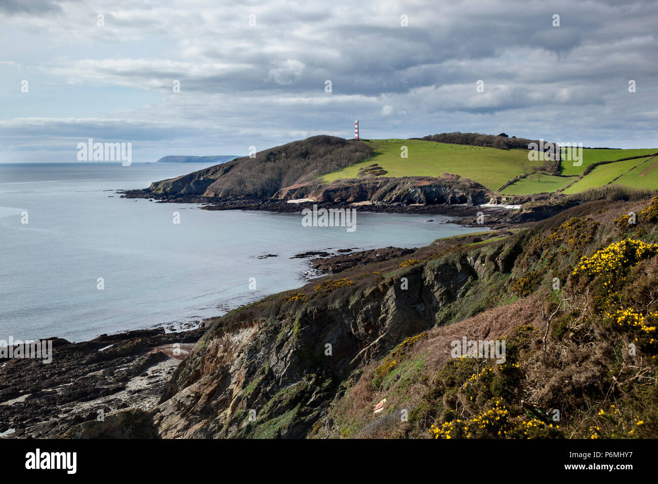 Gribbin Head; Cornwall; UK Stock Photo - Alamy