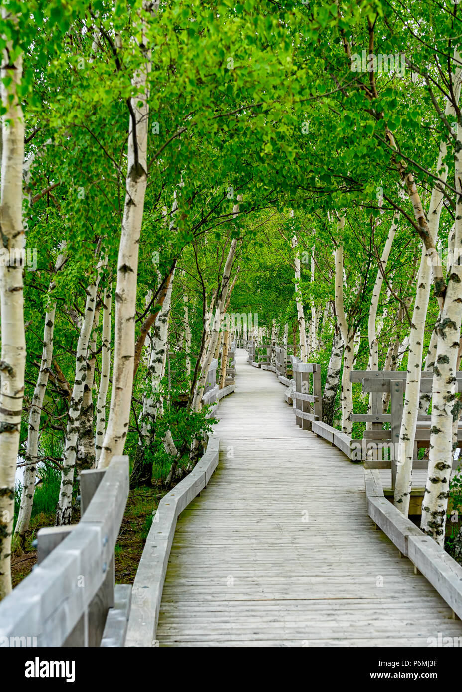 Waterfowl park hi-res stock photography and images - Alamy