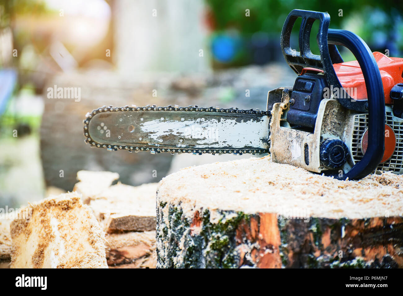 Shallow sawdust hi-res stock photography and images - Alamy