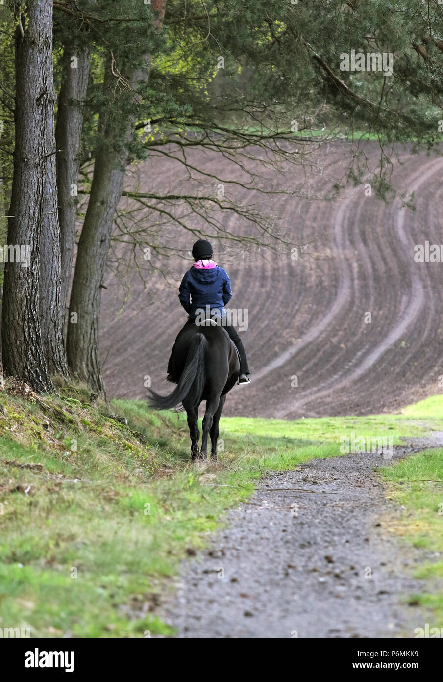 Step ride vertical hi-res stock photography and images - Alamy