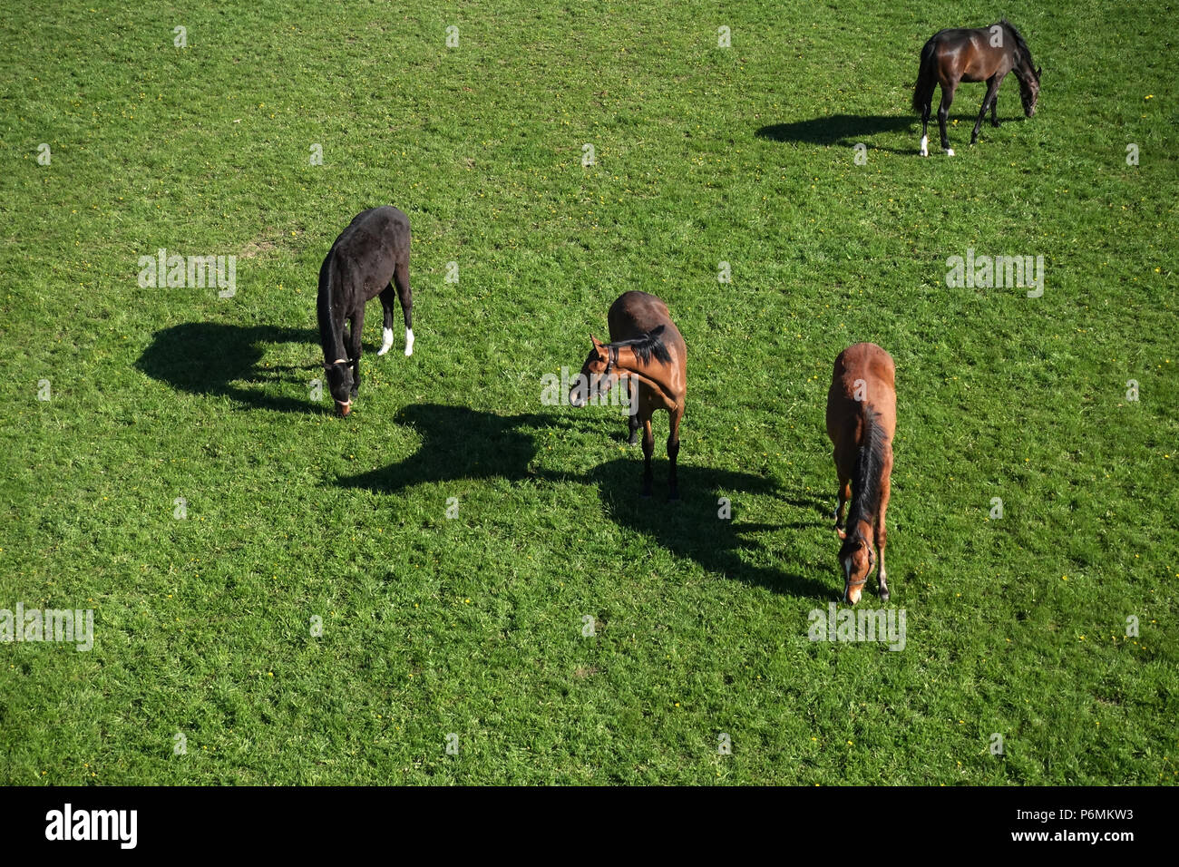 View birds eye view hi-res stock photography and images - Alamy