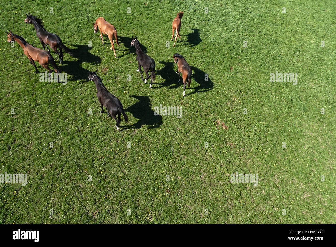 Birds eye view hi-res stock photography and images - Alamy