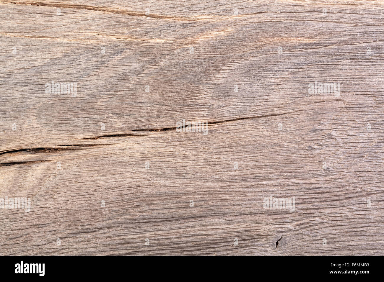Bog oak texture. Wood. High resolution photo Stock Photo - Alamy