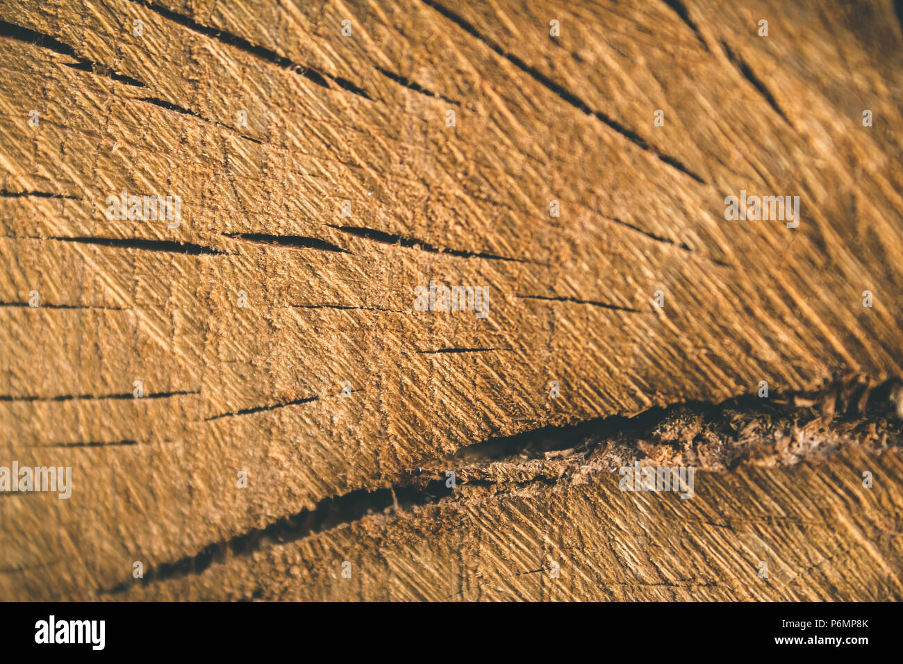 Close up of wood grain on a log Stock Photo - Alamy