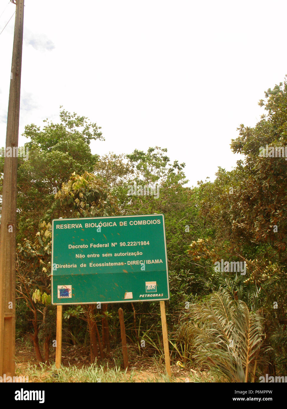 Comboios Biological Reserve, Atlantic Forest, Linhares, Aracruz ...
