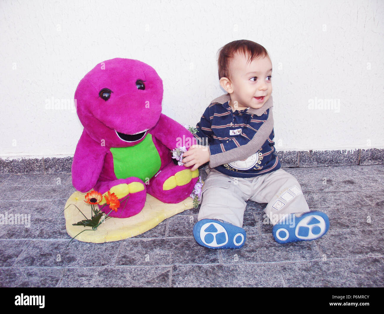 Child, baby, sitting, Barney & Friends, São Paulo, Brazil Stock Photo ...