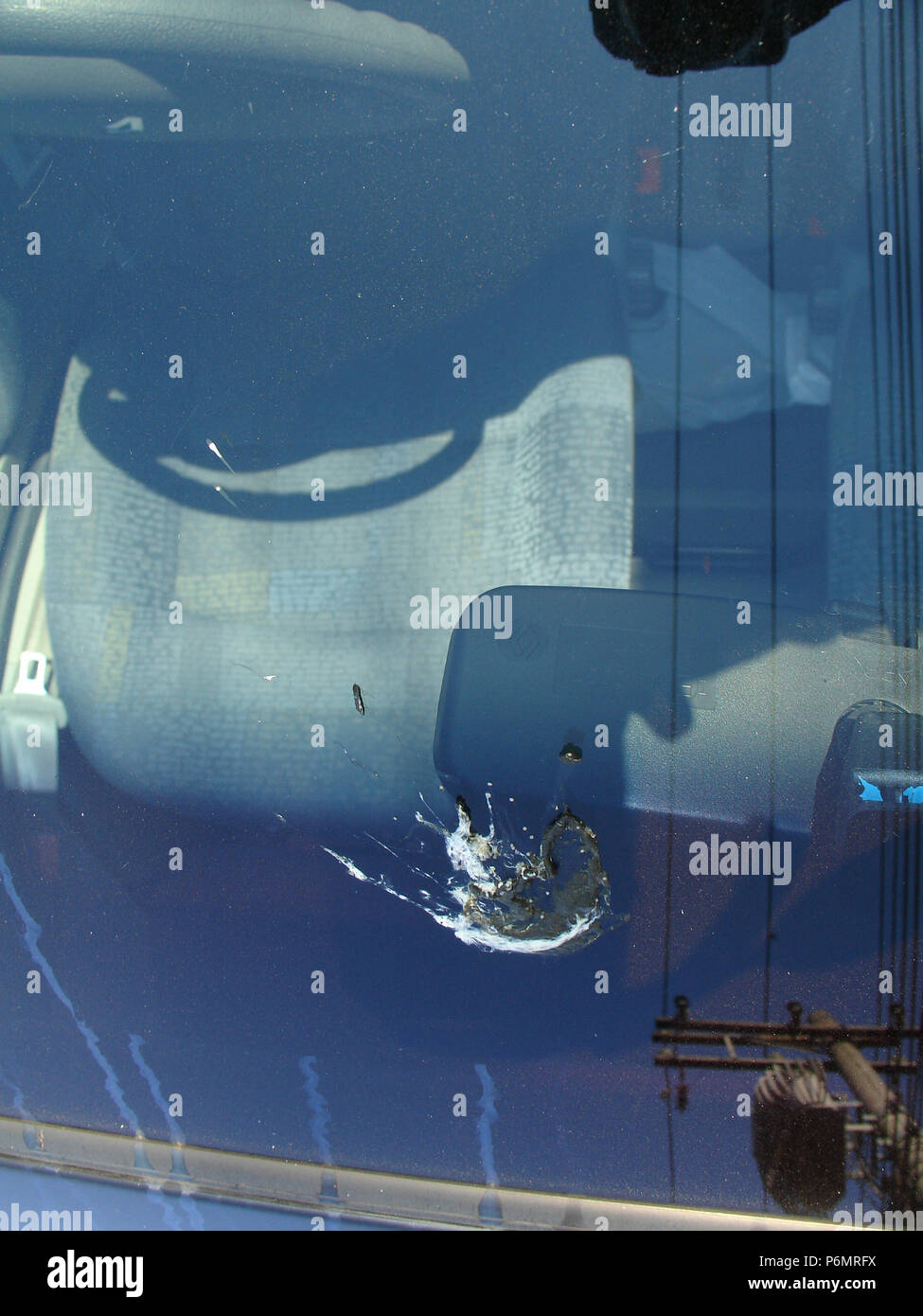 hood of car with lot of bird droppings, windshield, poop, São Paulo ...