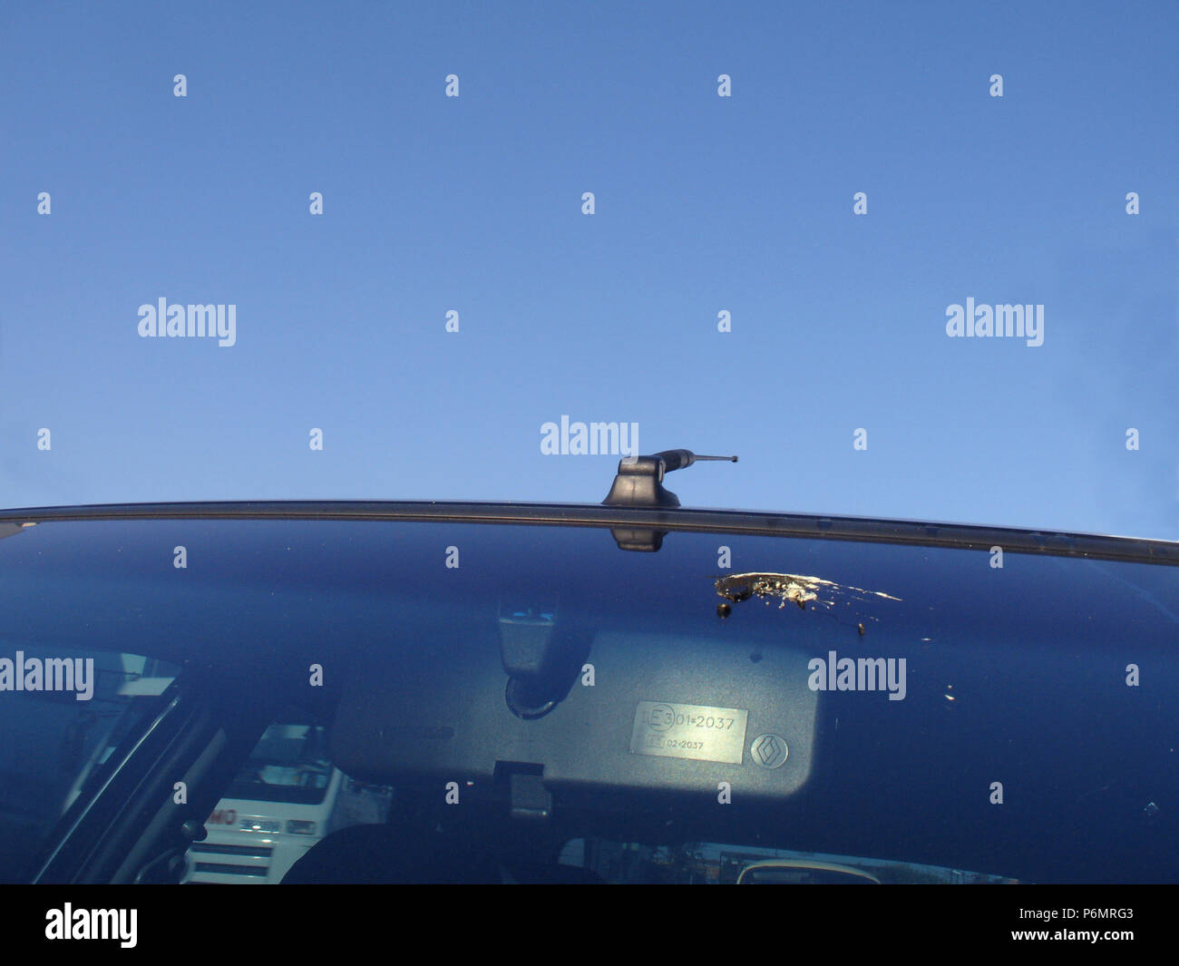 Windshield, car, poop, São Paulo, Brazil Stock Photo - Alamy