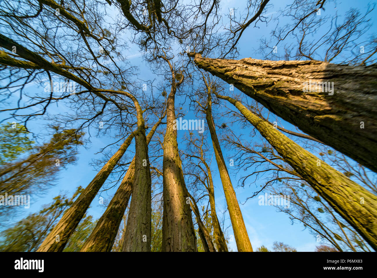 Looking up at an angle hi-res stock photography and images - Alamy