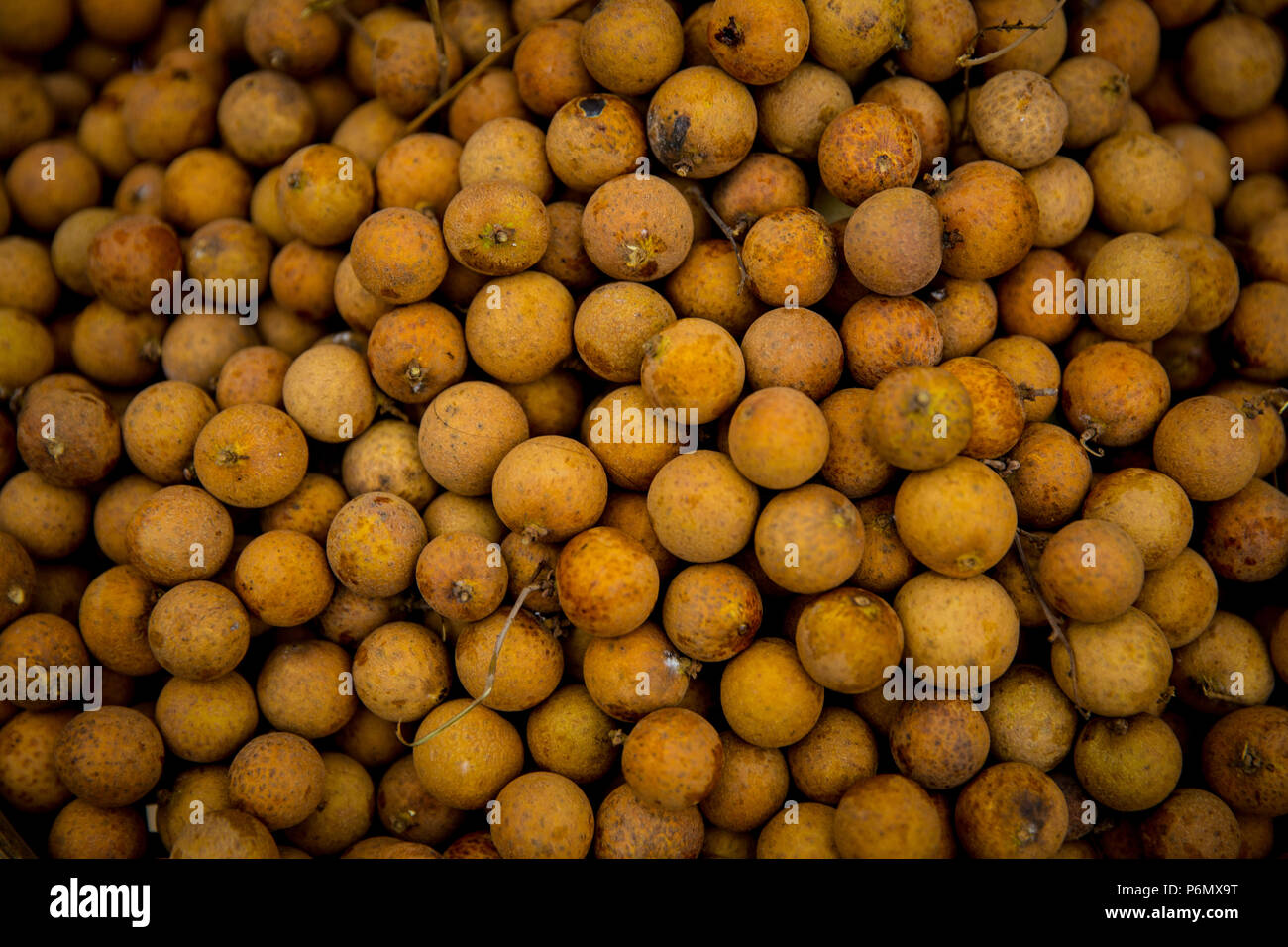 Longan seeds hi-res stock photography and images - Alamy