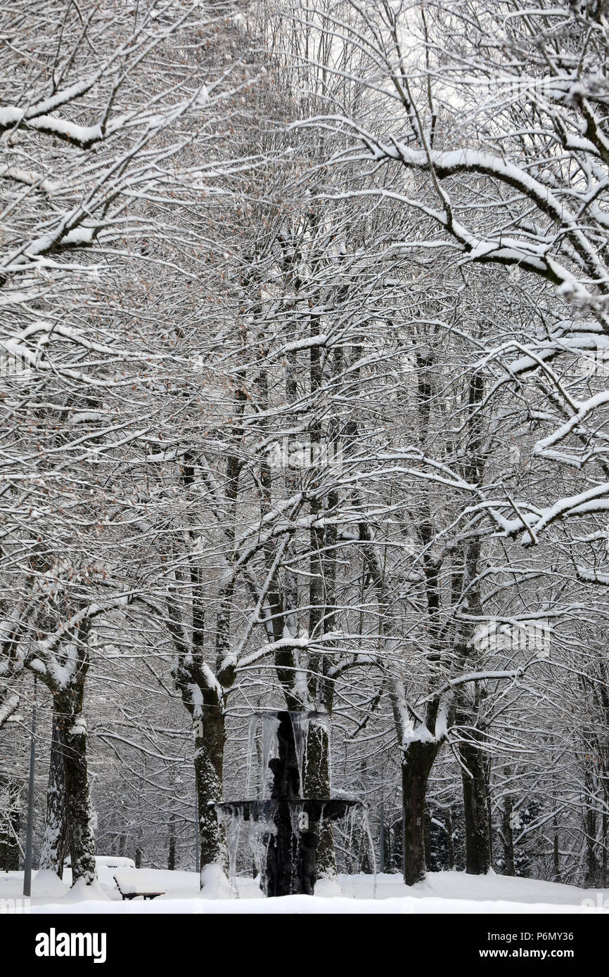 Le Fayet Parc Thermal. Trees under snow. France Stock Photo - Alamy