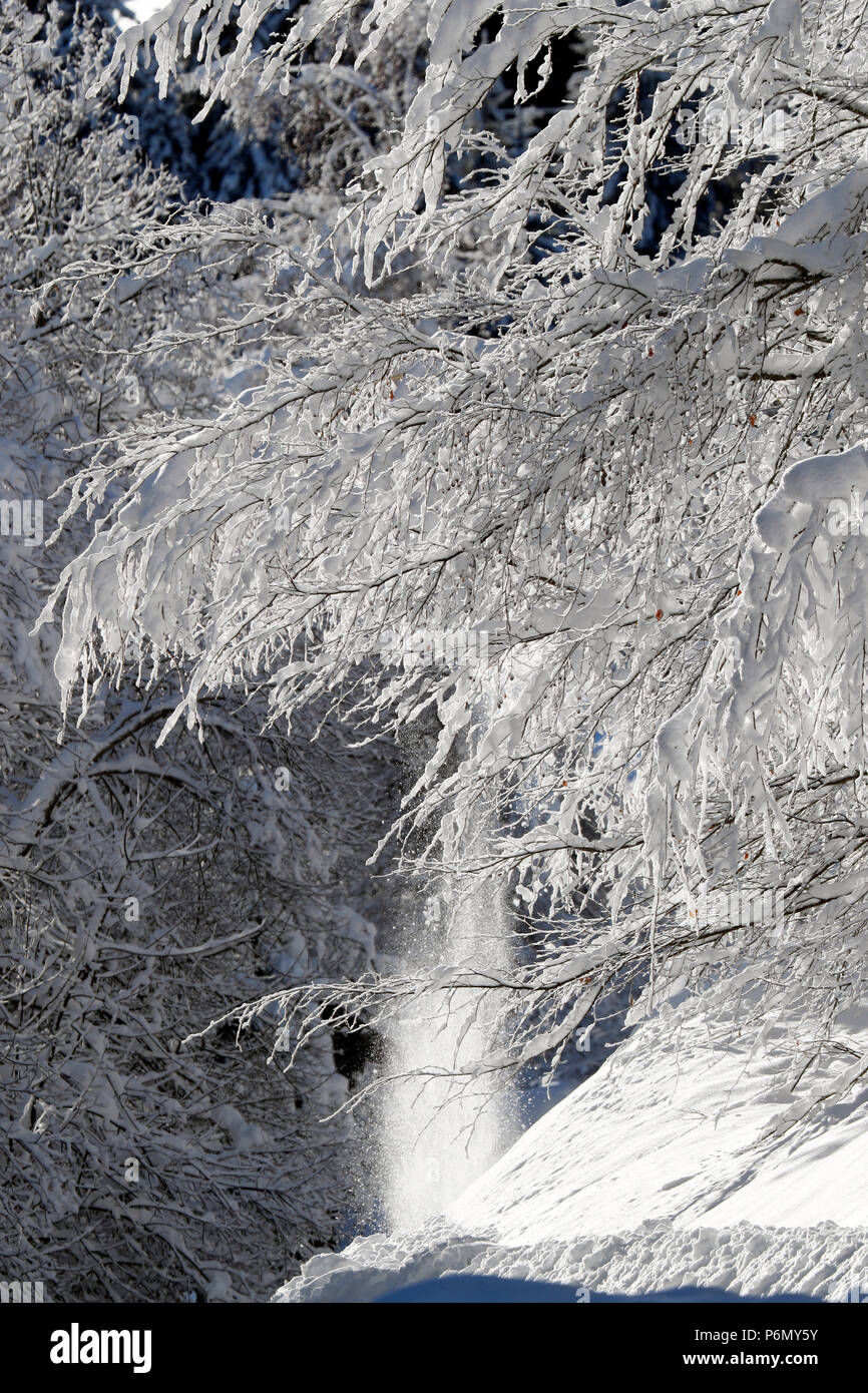 Frost french hi-res stock photography and images - Alamy