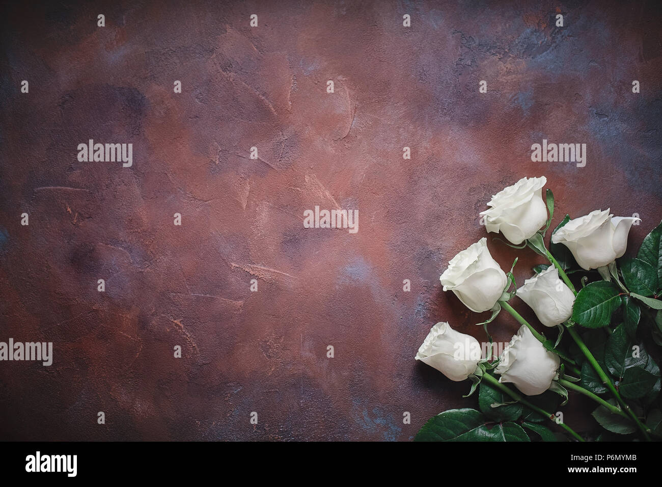 Six white roses on a beautiful stone background. Space for labels Stock ...