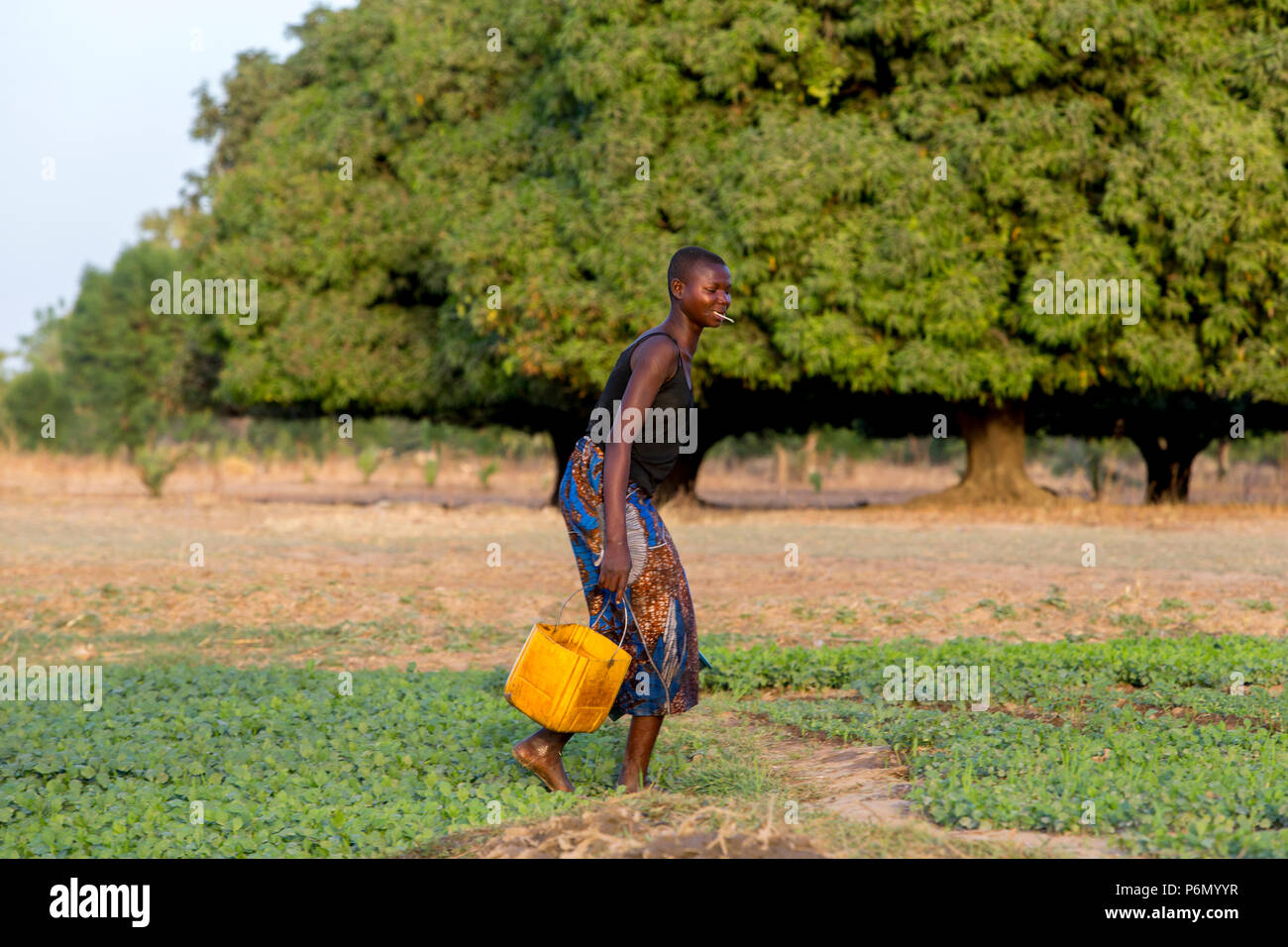 African Woman In Field High Resolution Stock Photography and Images - Alamy