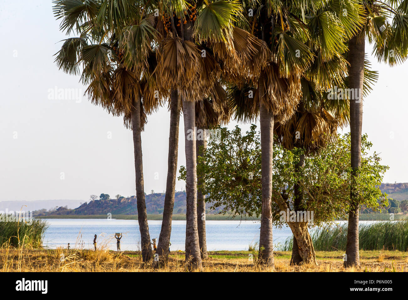 Togo landscape hi-res stock photography and images - Alamy