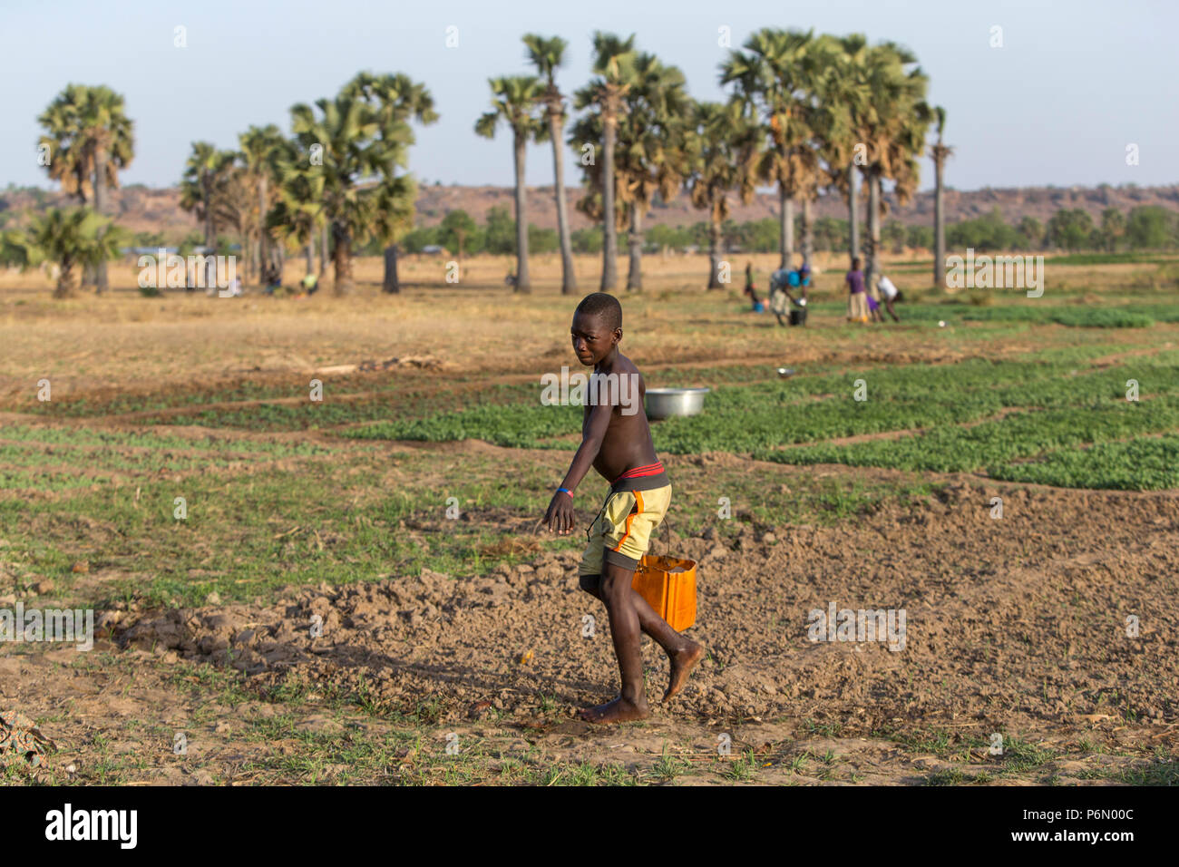 Togolese boy watering a field in Karsome, Togo Stock Photo - Alamy