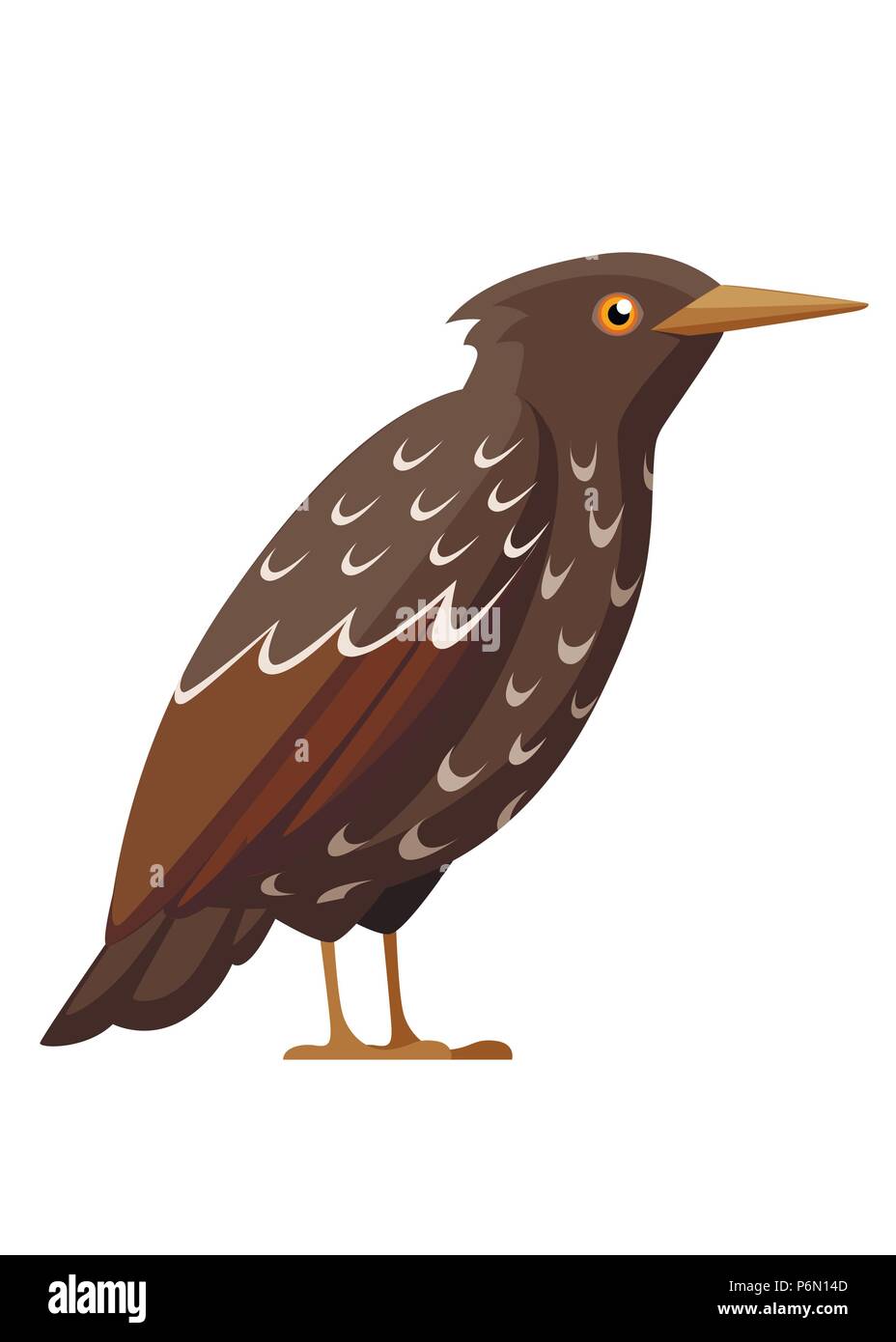 Starling bird. Flat cartoon character design. Colorful bird icon. Cute ...