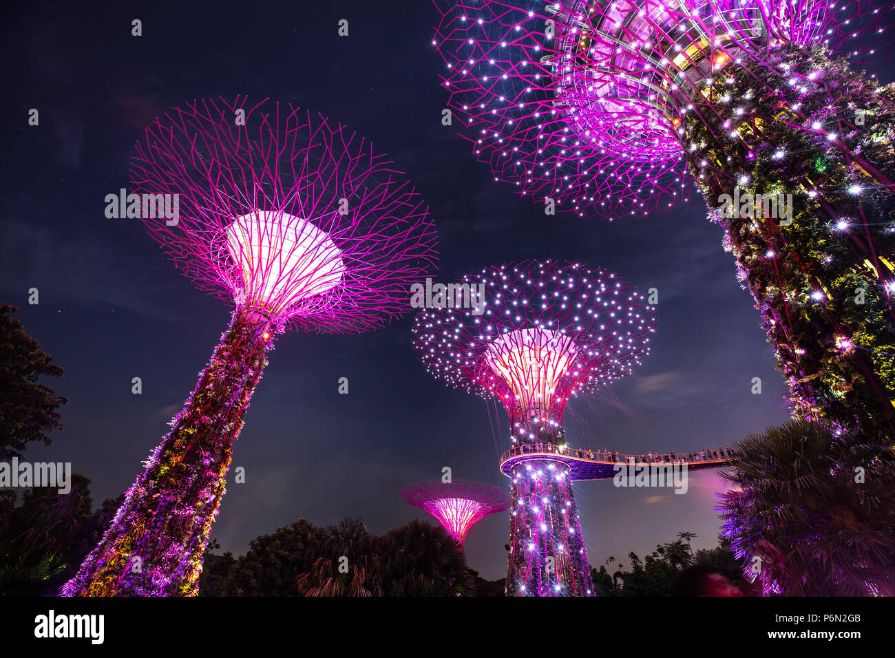 Singapore - Jun 22, 2018: Super Tree Grove plant structures in the ...