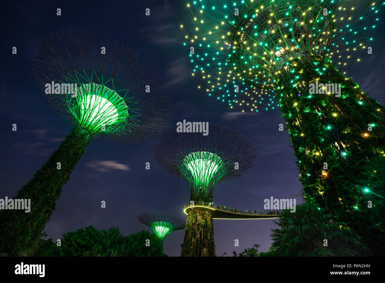 Singapore - Jun 22, 2018: Super Tree Grove plant structures in the ...