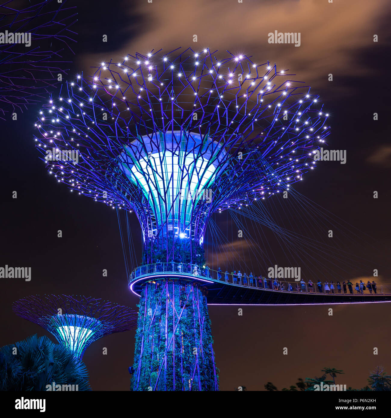 Singapore - Jun 22, 2018: Super Tree Grove plant structures in the ...