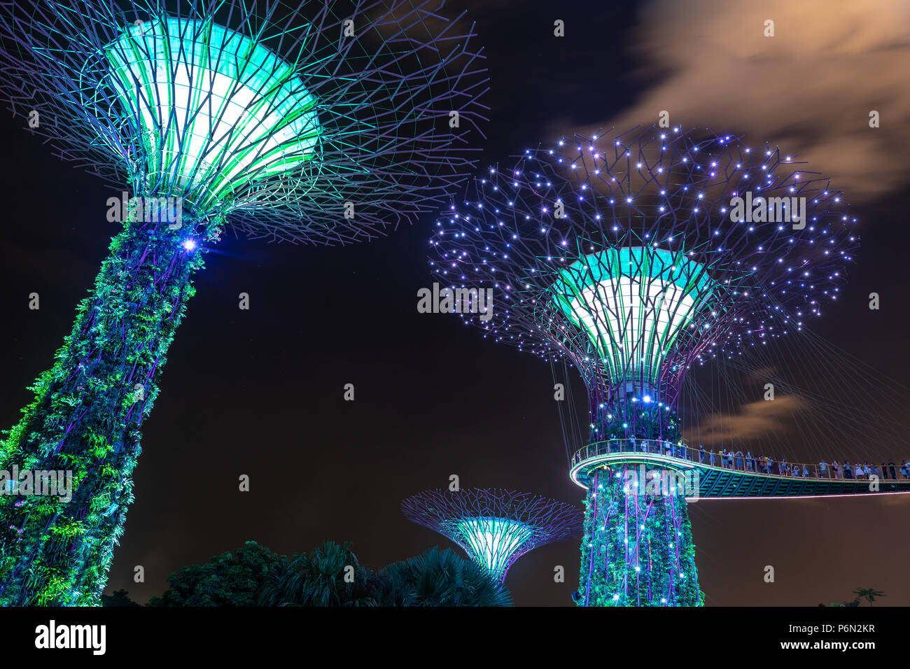 Singapore - Jun 22, 2018: Super Tree Grove plant structures in the ...