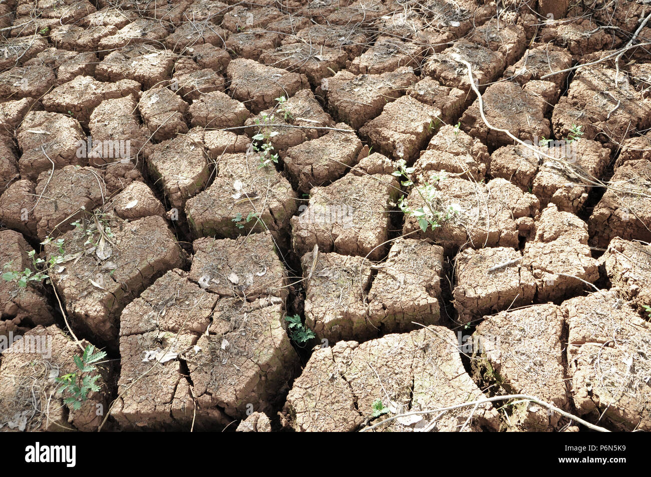 Dry cracked soil Stock Photo - Alamy