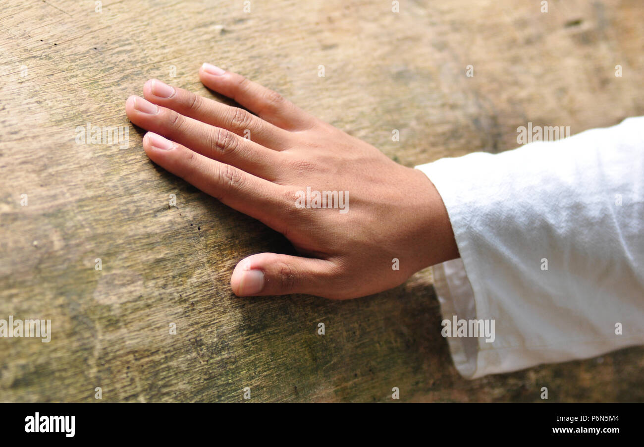 A hand, placed on the trunk Stock Photo - Alamy