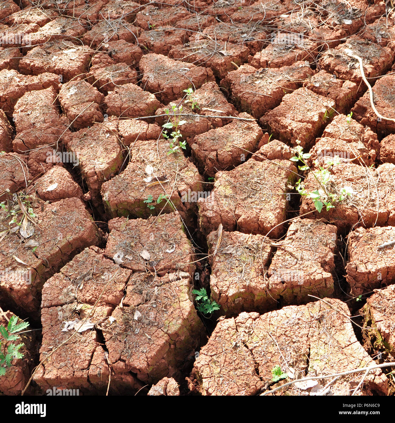 Dry cracked soil Stock Photo - Alamy