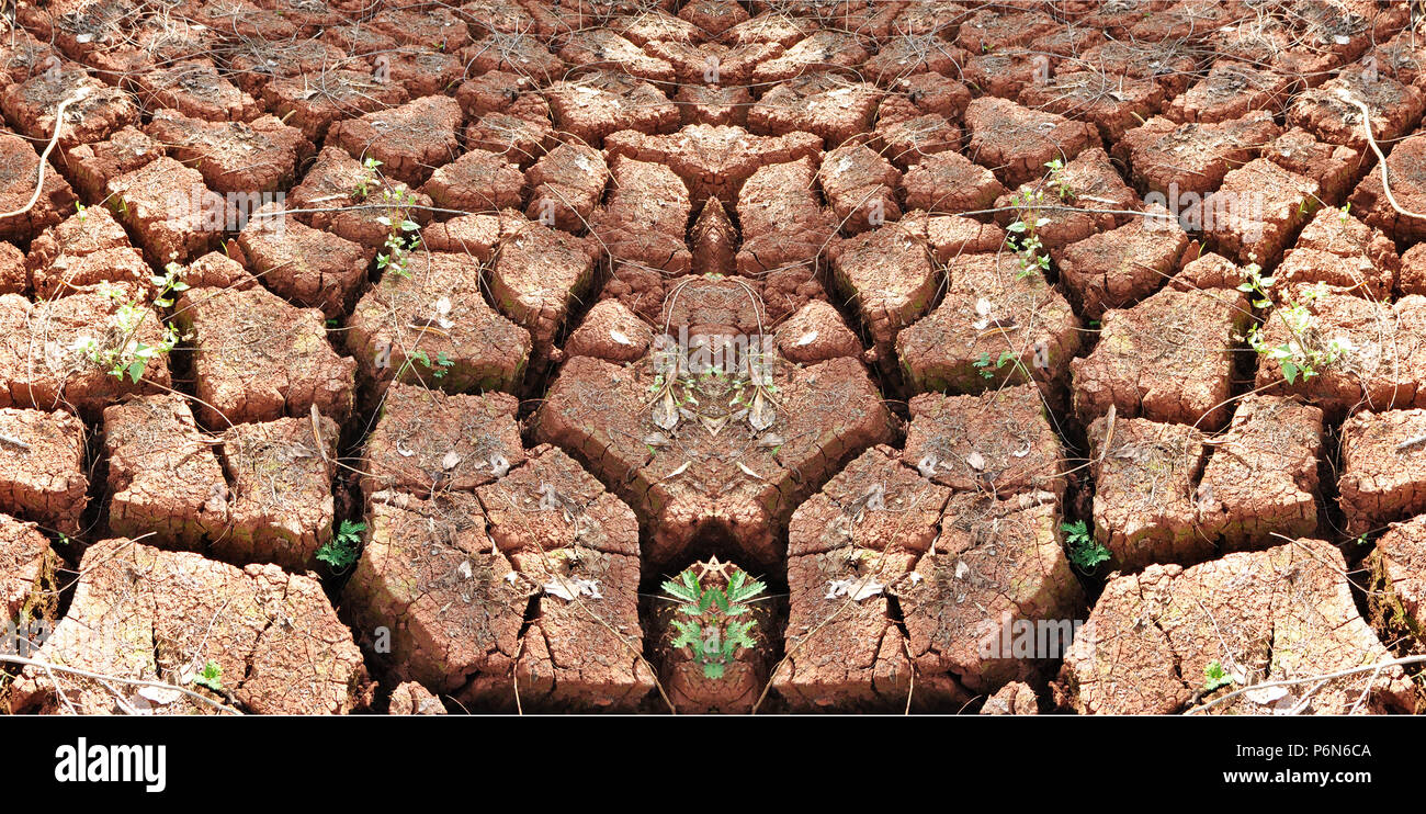 details of Dry cracked soil Stock Photo - Alamy