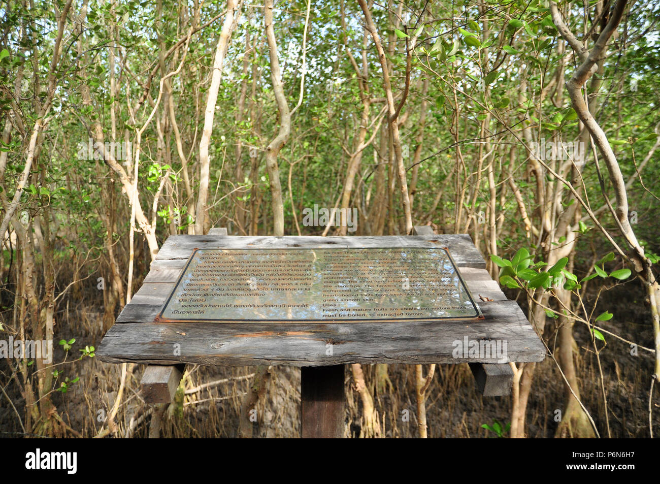 Wood boards along the streams Stock Photo - Alamy