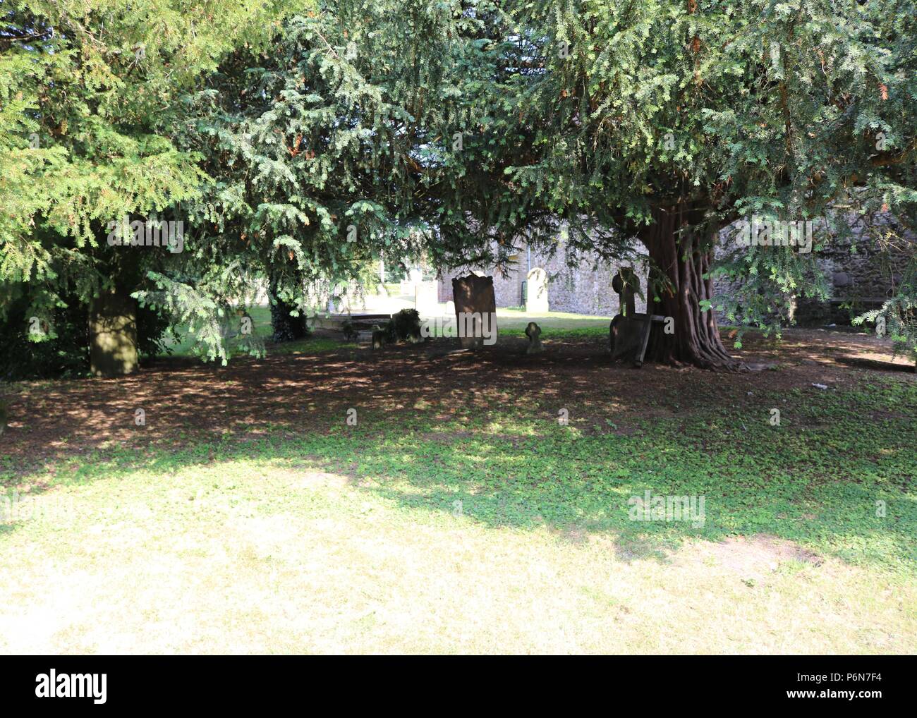 Burham and wouldham hi-res stock photography and images - Alamy