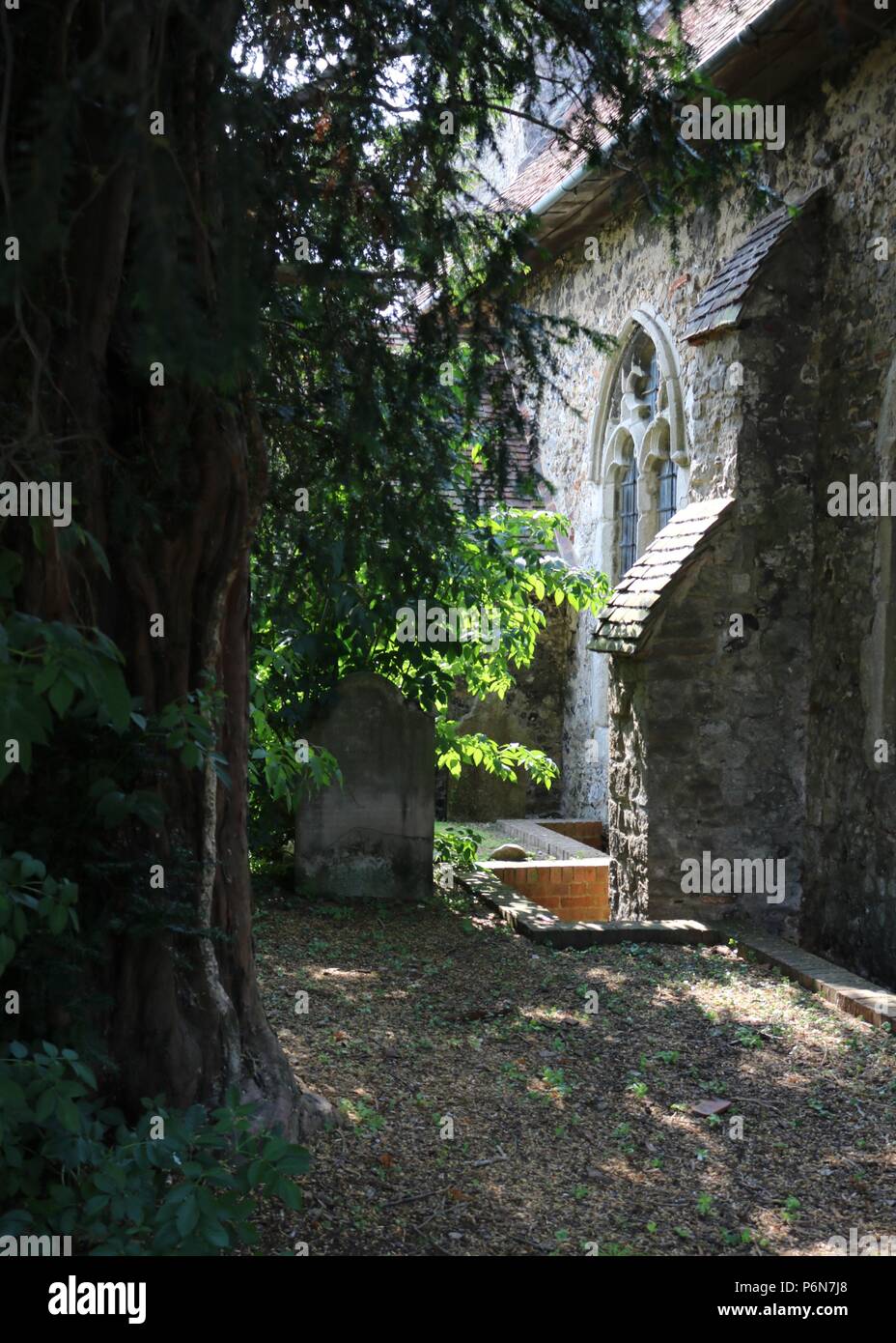Graves , Burham St Marys , Kent Stock Photo - Alamy