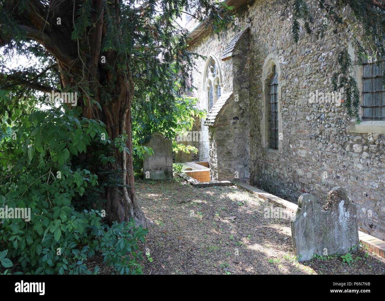 St Marys Church Yew Tree High Resolution Stock Photography and Images ...