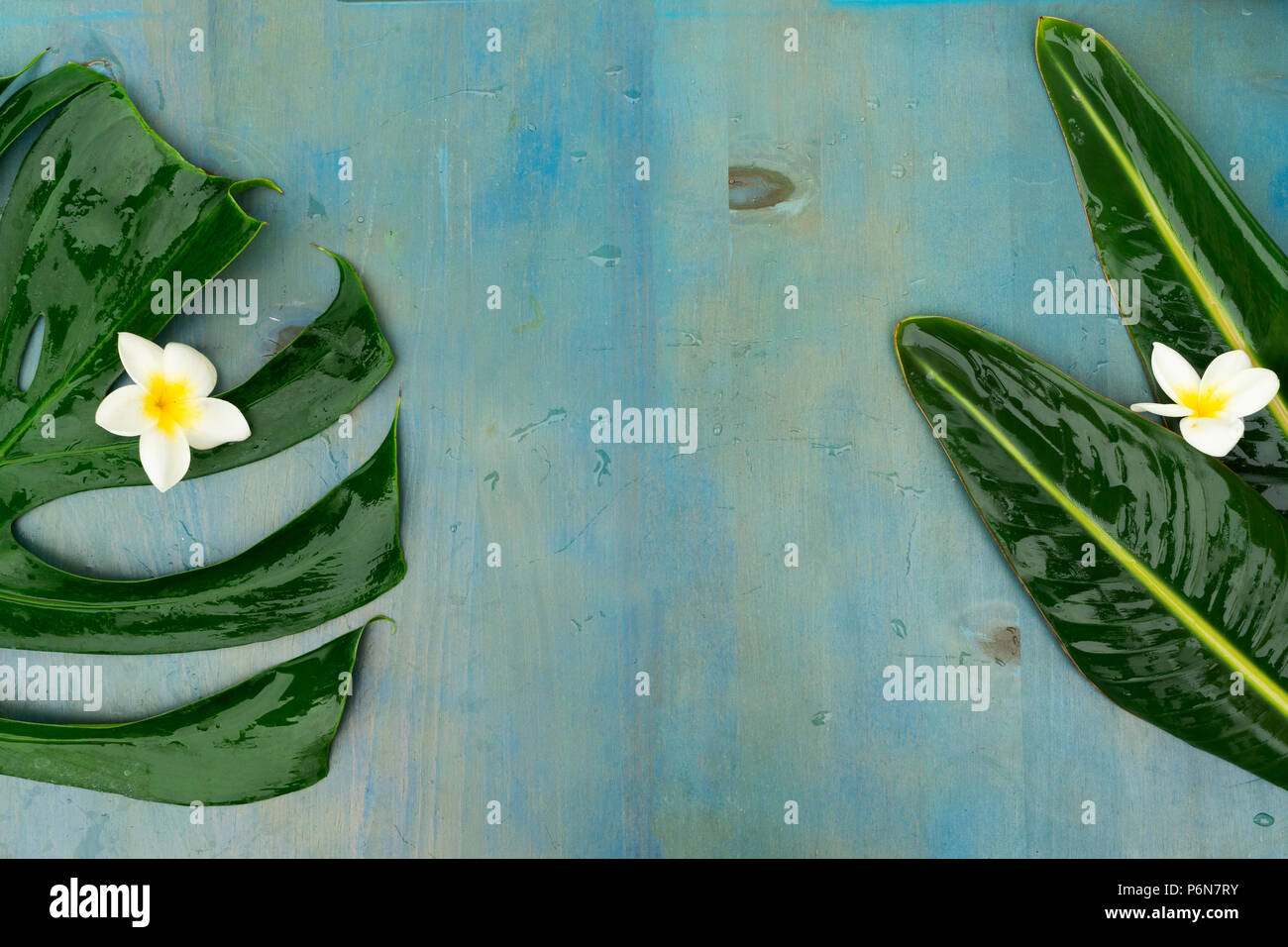 Summer flat lay scenery Stock Photo - Alamy