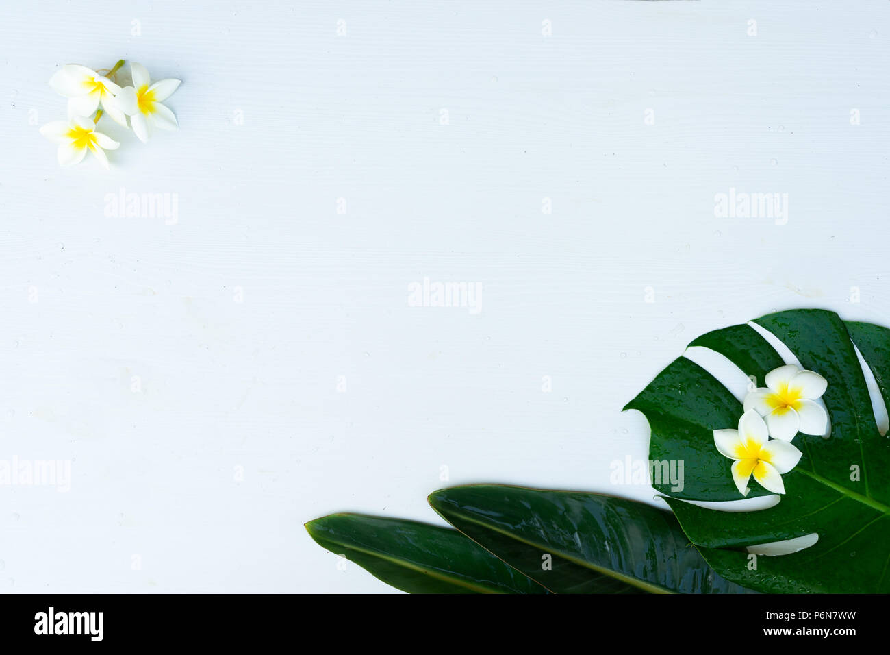 Summer flat lay scenery Stock Photo - Alamy