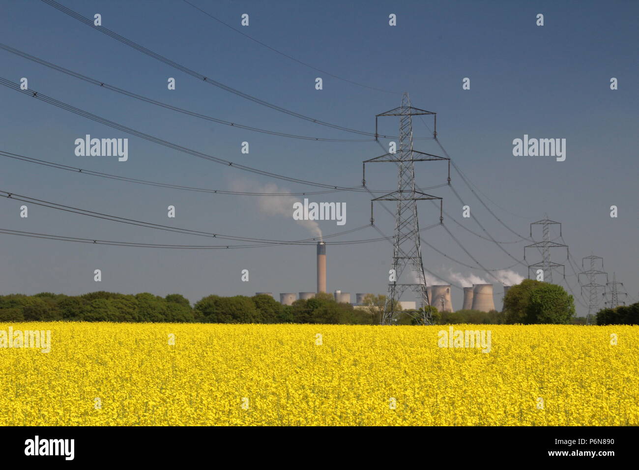 Yellow rapeseed oil field with electricity pylons and power station in ...