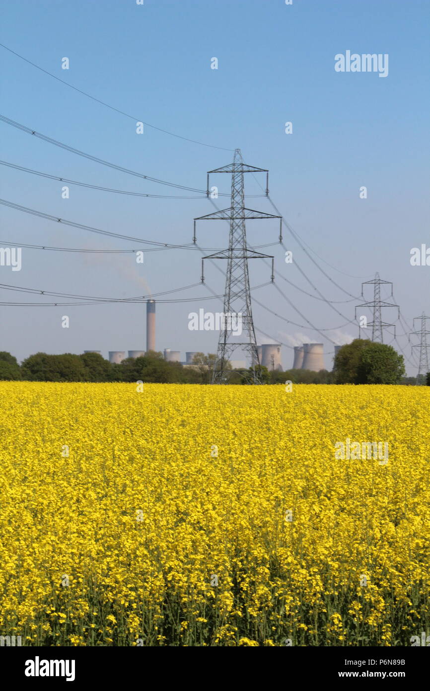 Yellow rapeseed oil field with electricity pylons and power station in ...