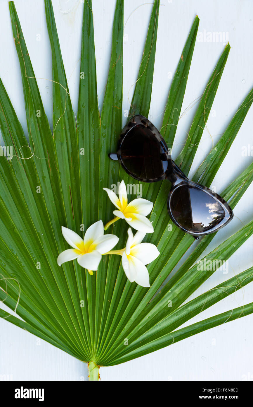 Summer flat lay scenery Stock Photo - Alamy