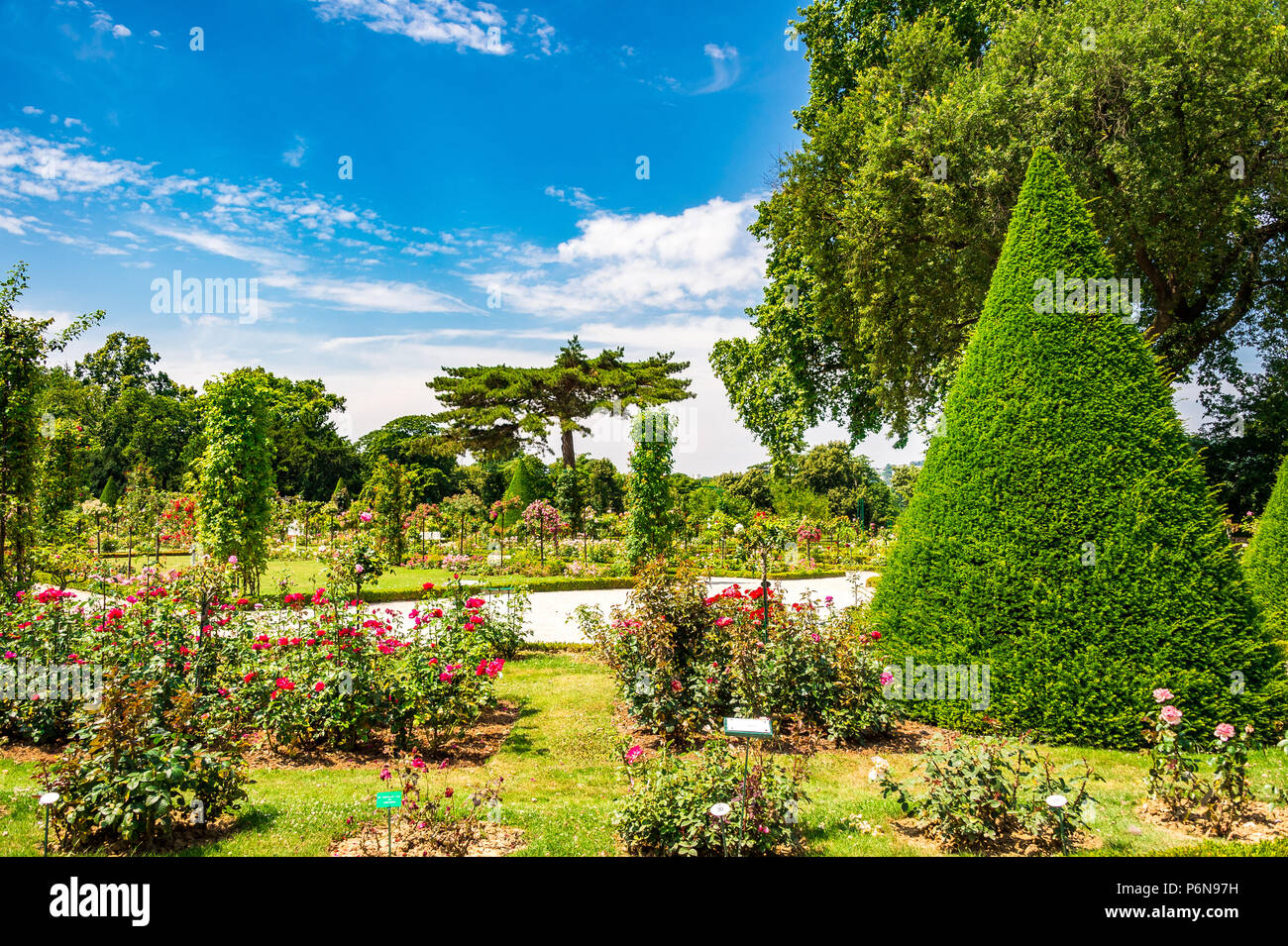 The spectacular Rose Garden within Parc de Bagatelle in Paris, France ...