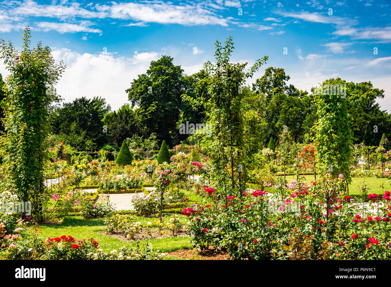 The spectacular Rose Garden within Parc de Bagatelle in Paris, France ...