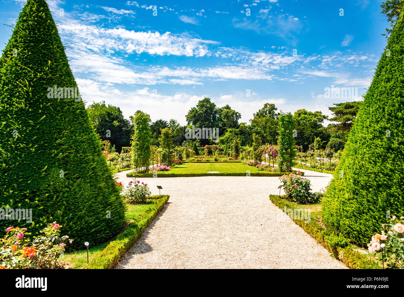 The spectacular Rose Garden within Parc de Bagatelle in Paris, France ...