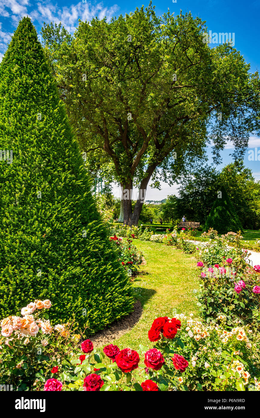 The spectacular Rose Garden within Parc de Bagatelle in Paris, France ...