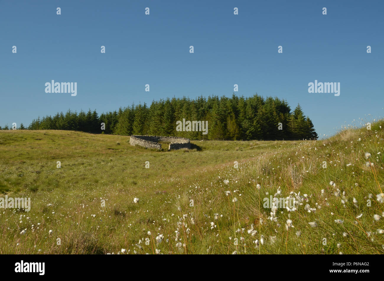 Camster cairns hi-res stock photography and images - Alamy